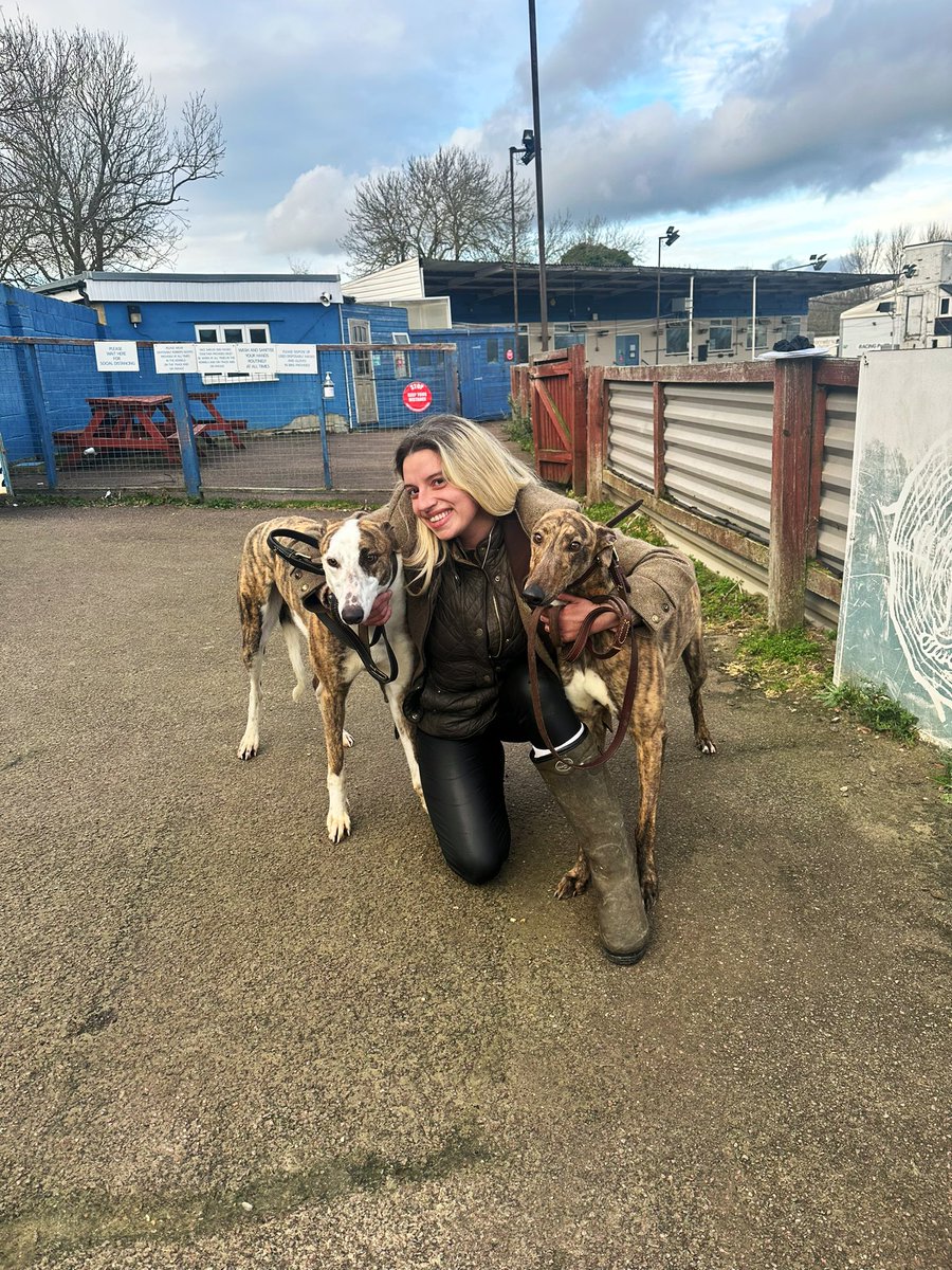 Greyhound Trader on Twitter: Greyhound Trader on Twitter: