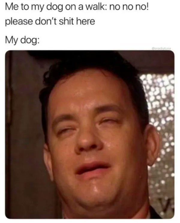 Imgur On Twitter 😑 💩 Gallery6fhgjab