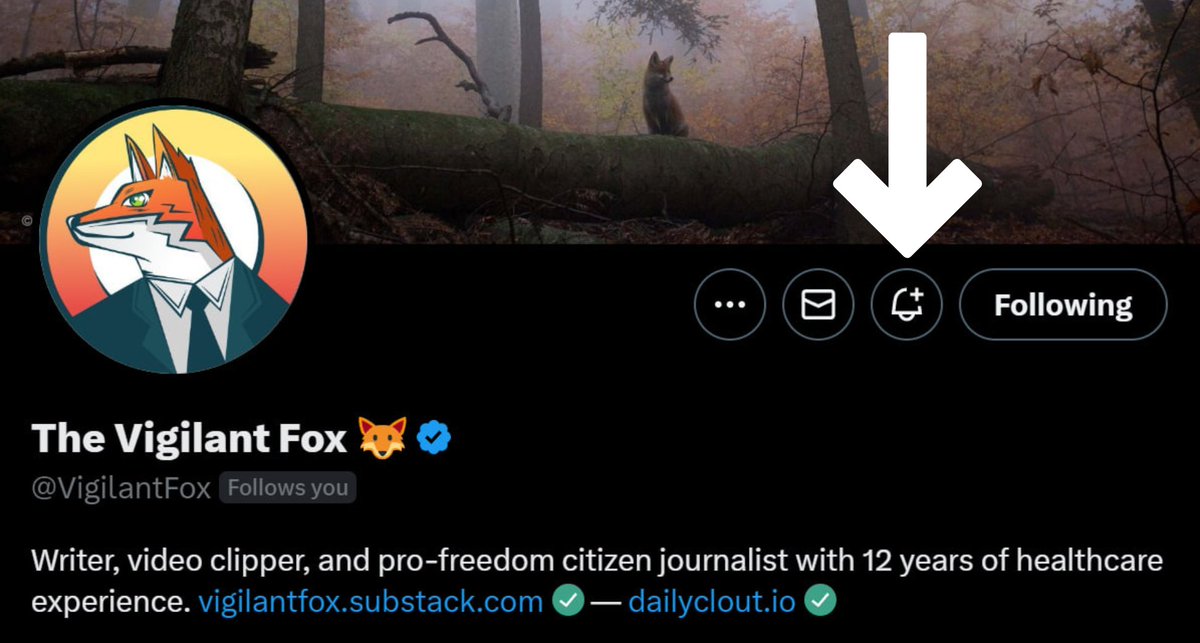 Thread by @VigilantFox on Thread Reader App – Thread Reader App