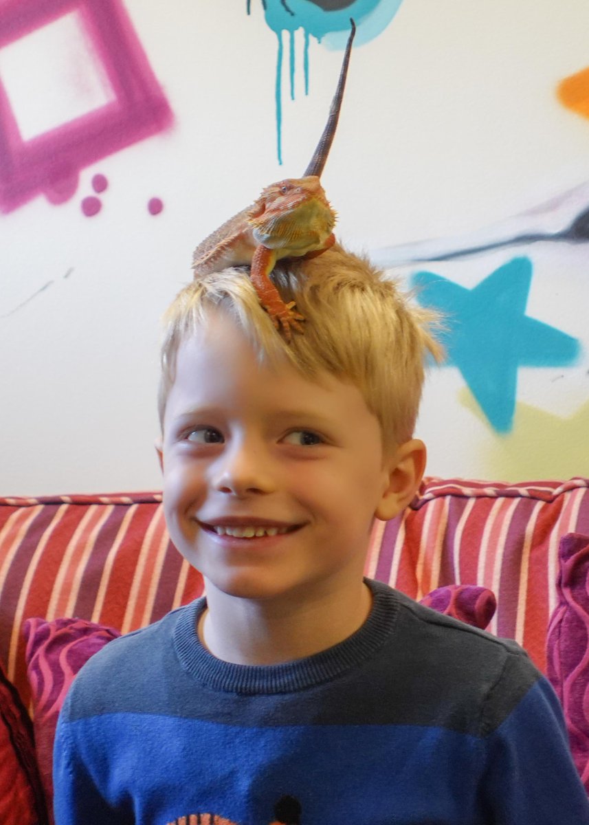 Shooting Star Children s Hospices On Twitter Over Half term We Invited Our Supported Siblings shooting-star-children-s-hospices-on-twitter-over-half-term-we-invited-our-supported-siblings