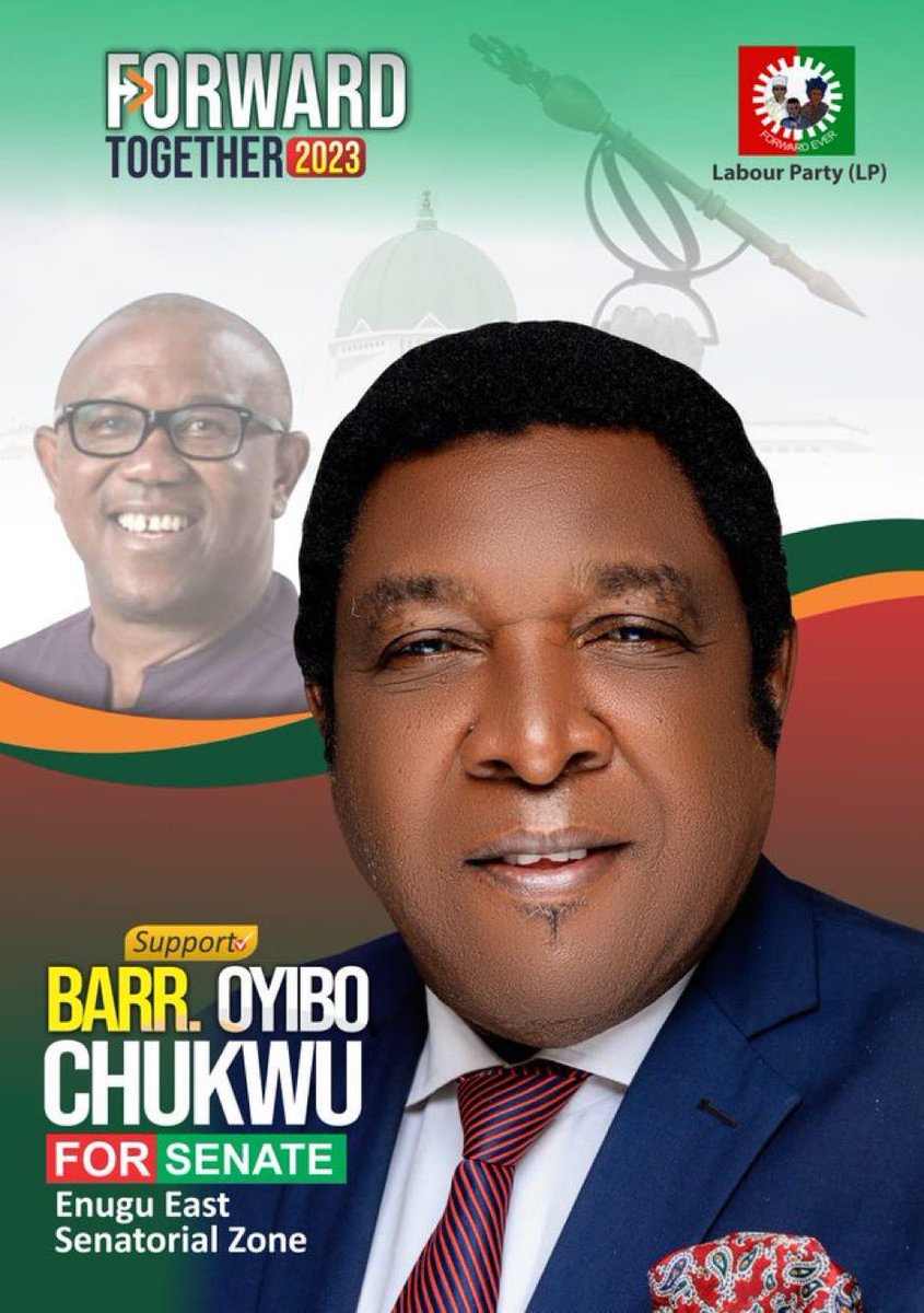 Dr. Favour Okechi on Twitter: "RT @AfamDeluxo: Unconfirmed reports have it that LP Senatorial ...