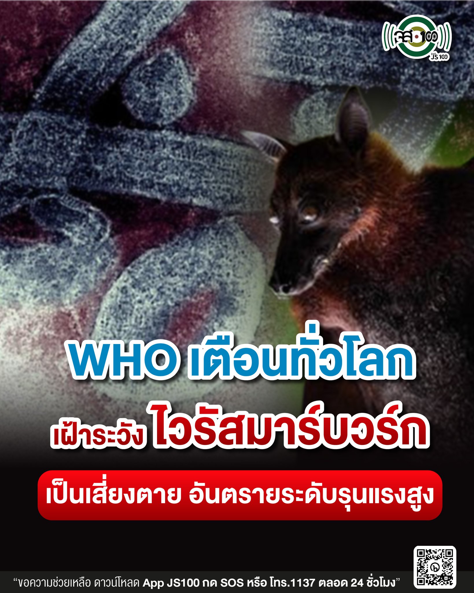 JS100Radio on Twitter: "🔸ไวรัสมาร์บวร์ก🔸ไวรัสชนิดเฉียบพลันในตระกูล ฟิโลไวริเดอี 🔎ระยะฟักตัวของ ...