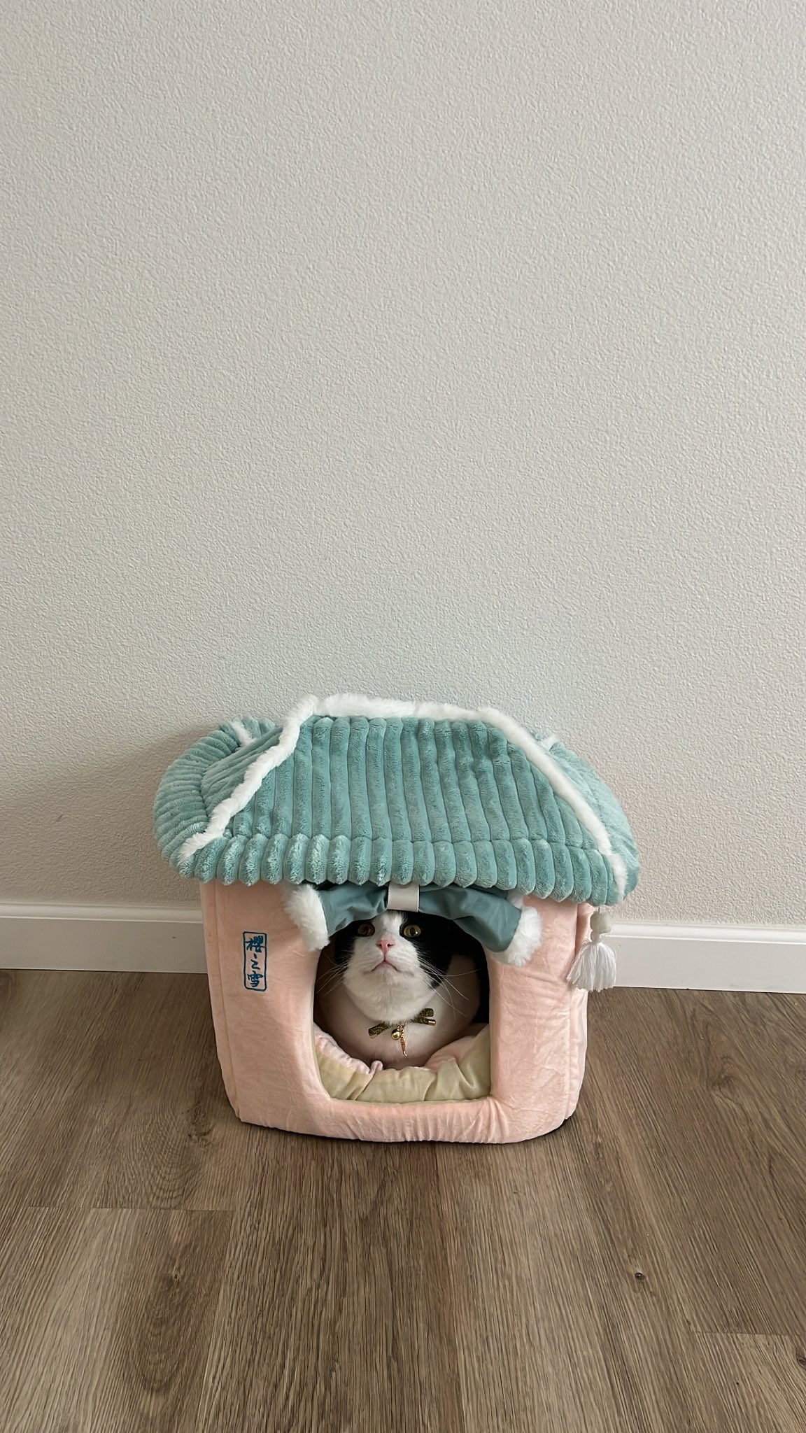 RAE KYLIE MANZANO (@raeofsoul) / Twitter