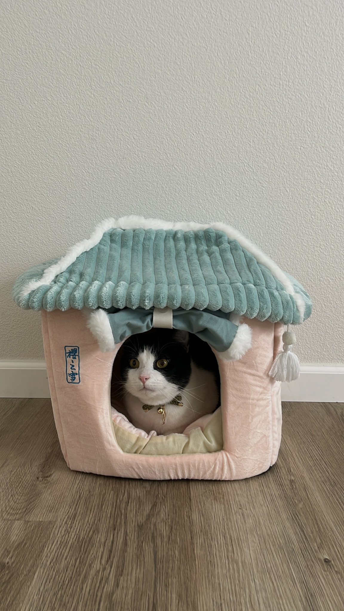 RAE KYLIE MANZANO (@raeofsoul) / Twitter