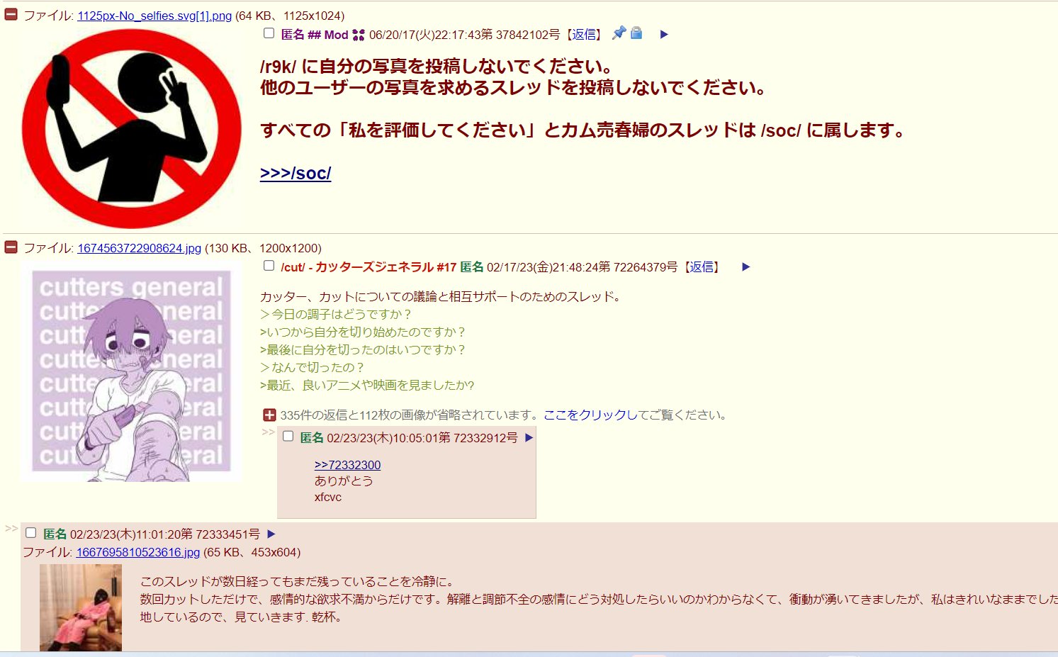 虫塚虫蔵@迷路'23 on Twitter: "【4chanのメンヘラ板（/r9k/）についてメモ】 /r9k/は、4chanで自分語りをする「陰キャ」専門の掲示板である。2008年、ユーザに ...