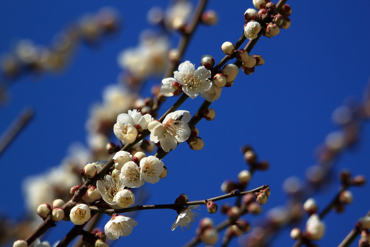 Jun & Ridge(@SystemJun) - Twilog