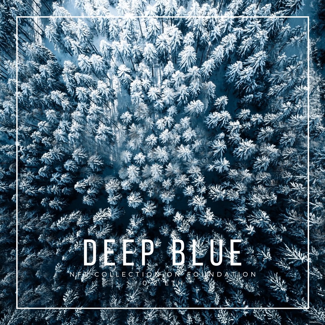 Liyat • eth • tez • NFT.NYC on Twitter: "RT @ojperry_photo: feeling BULLISH 🚀 for a sale coming ...