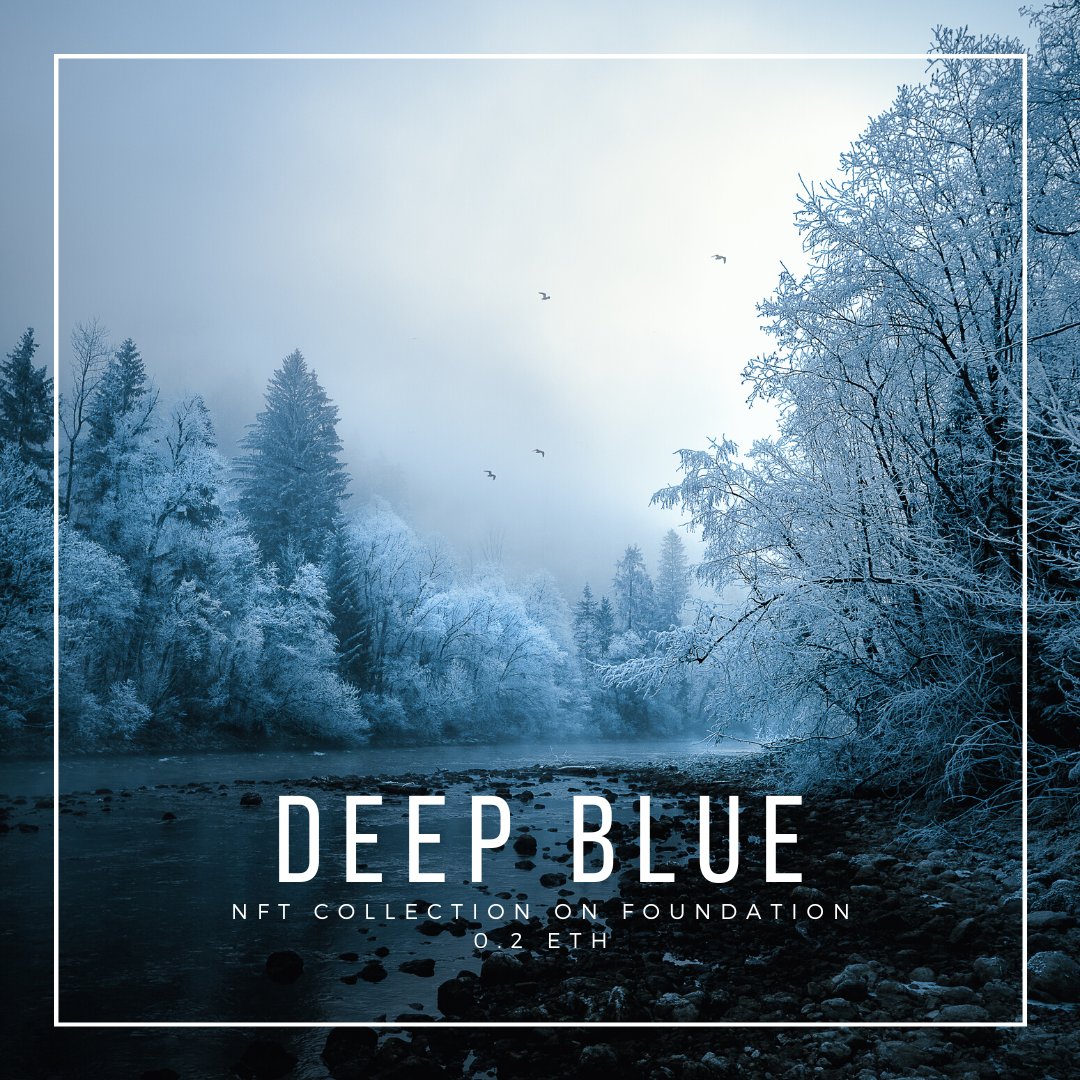 Liyat • eth • tez • NFT.NYC on Twitter: "RT @ojperry_photo: feeling BULLISH 🚀 for a sale coming ...