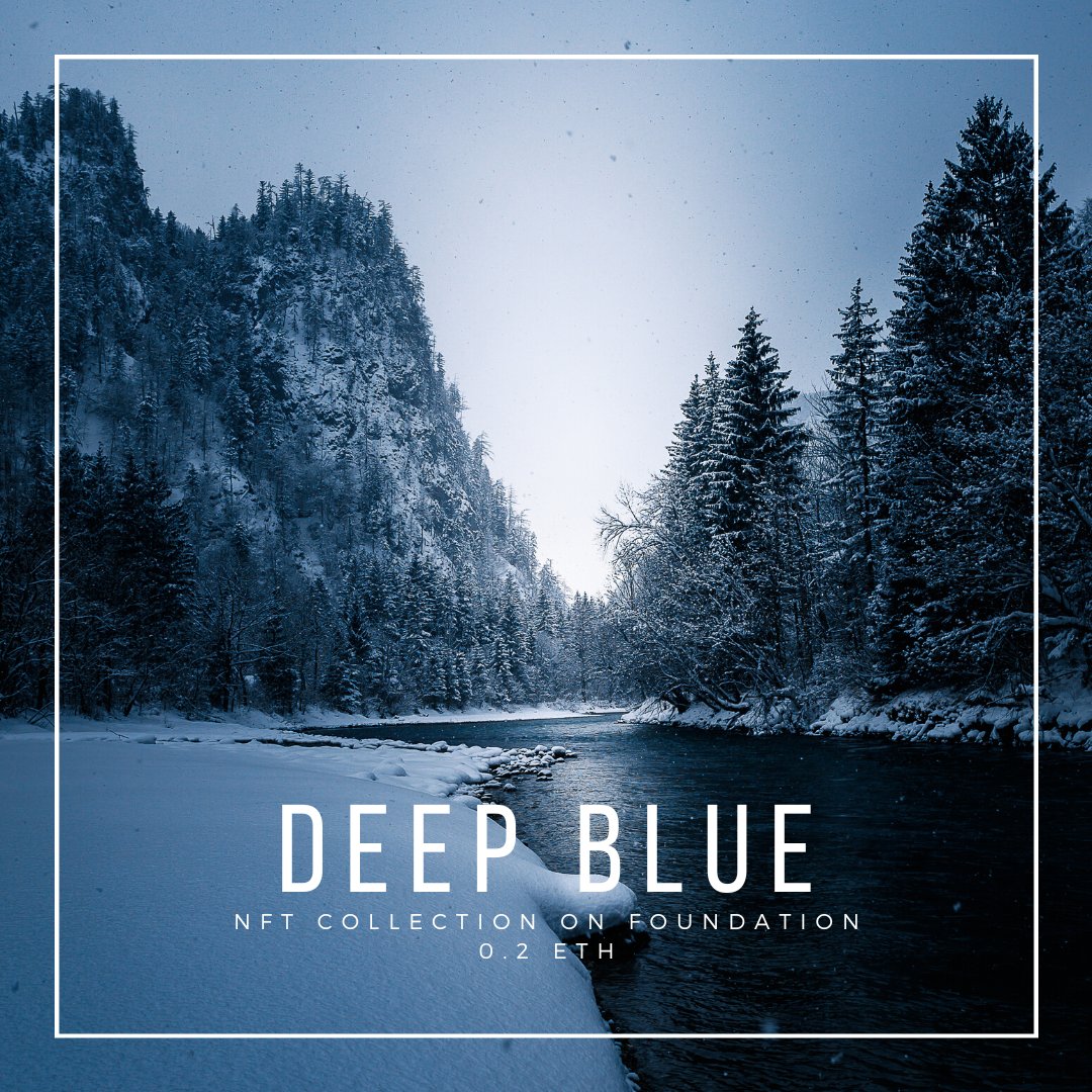 Liyat • eth • tez • NFT.NYC on Twitter: "RT @ojperry_photo: feeling BULLISH 🚀 for a sale coming ...