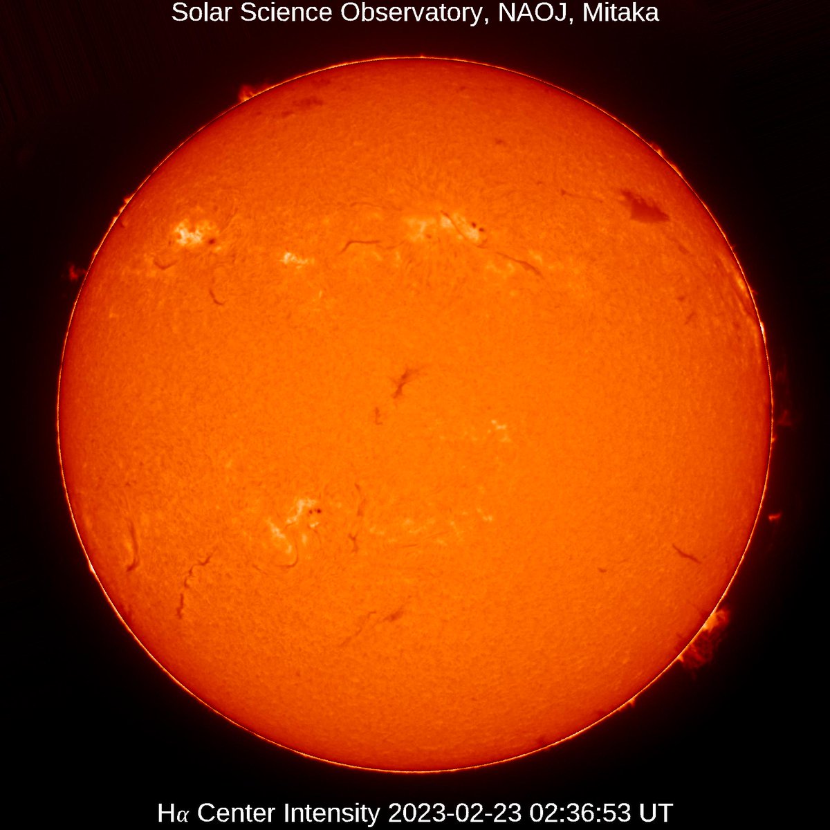 国立天文台 太陽観測科学プロジェクト | Solar Sci. Observatory, NAOJ(@naoj_taiyo) - Twilog