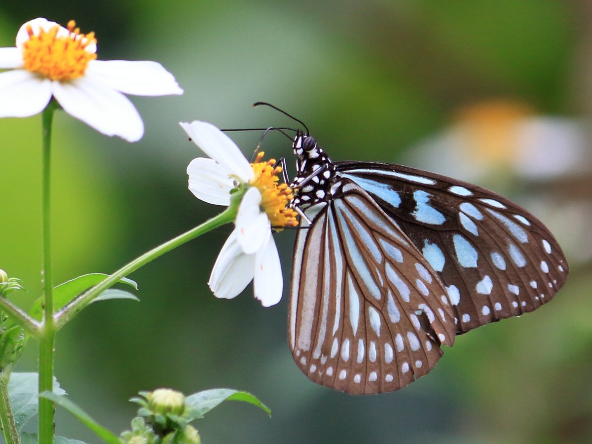 Jun & Ridge(@SystemJun) - Twilog