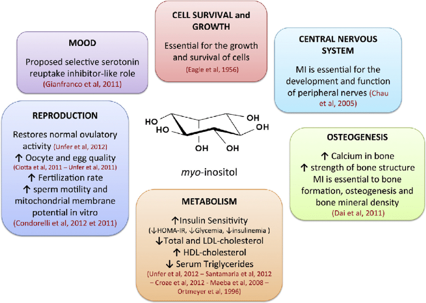 Myo-Inositol and other inositols, a pro-fertility supplement that may ...