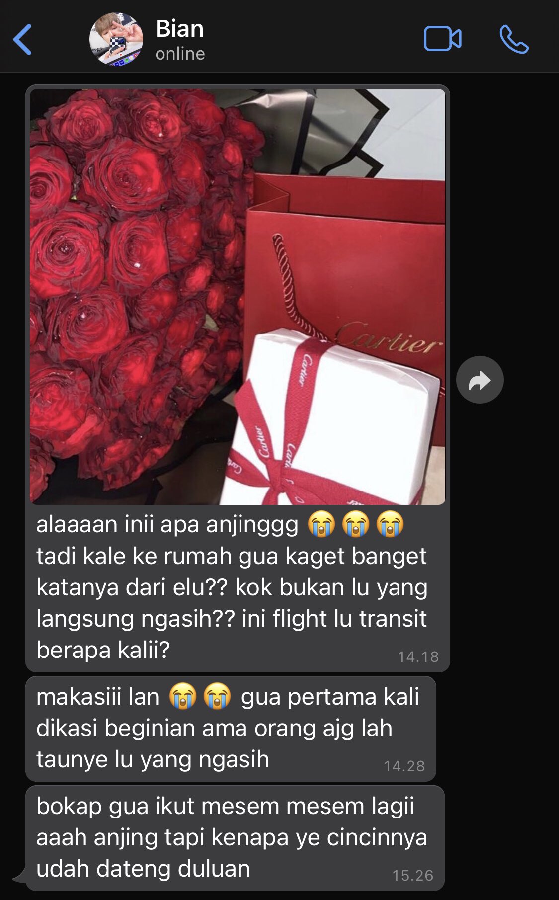 dino on Twitter: "206. https://t.co/mqBaZOc72W" / Twitter