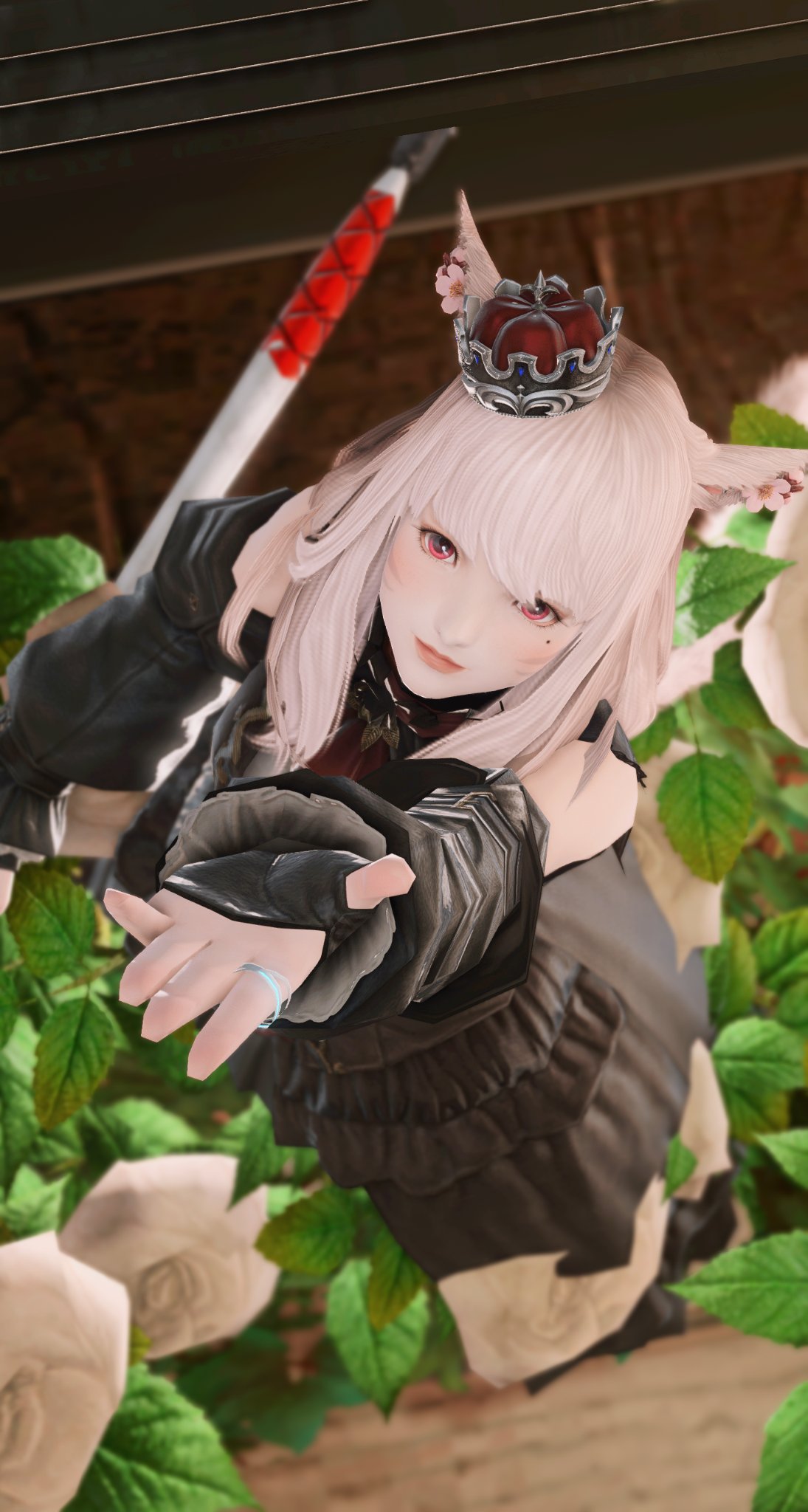 cocomi (@tzcocomi) / Twitter