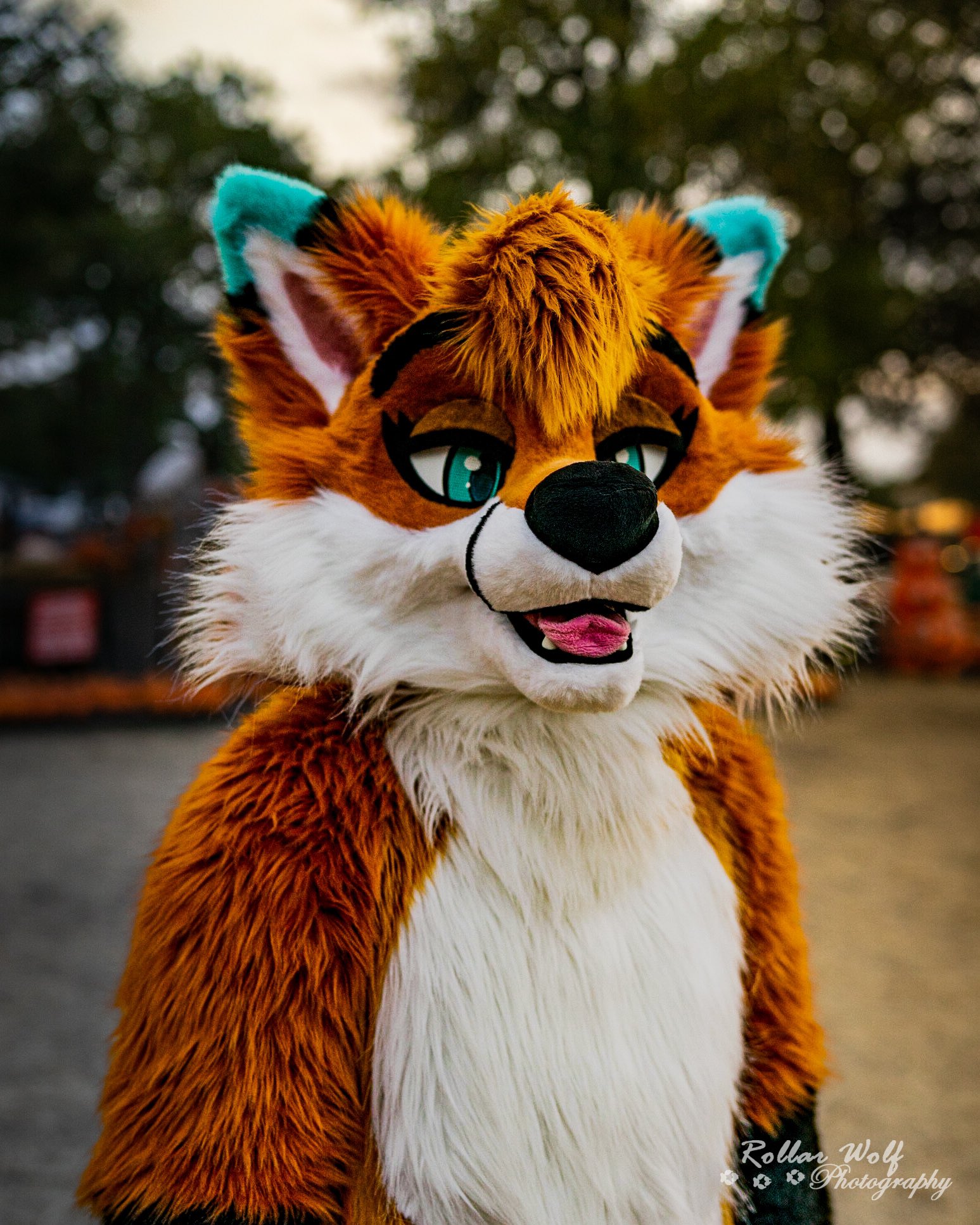 Sofia Robbet (@RobbetSofia) / Twitter