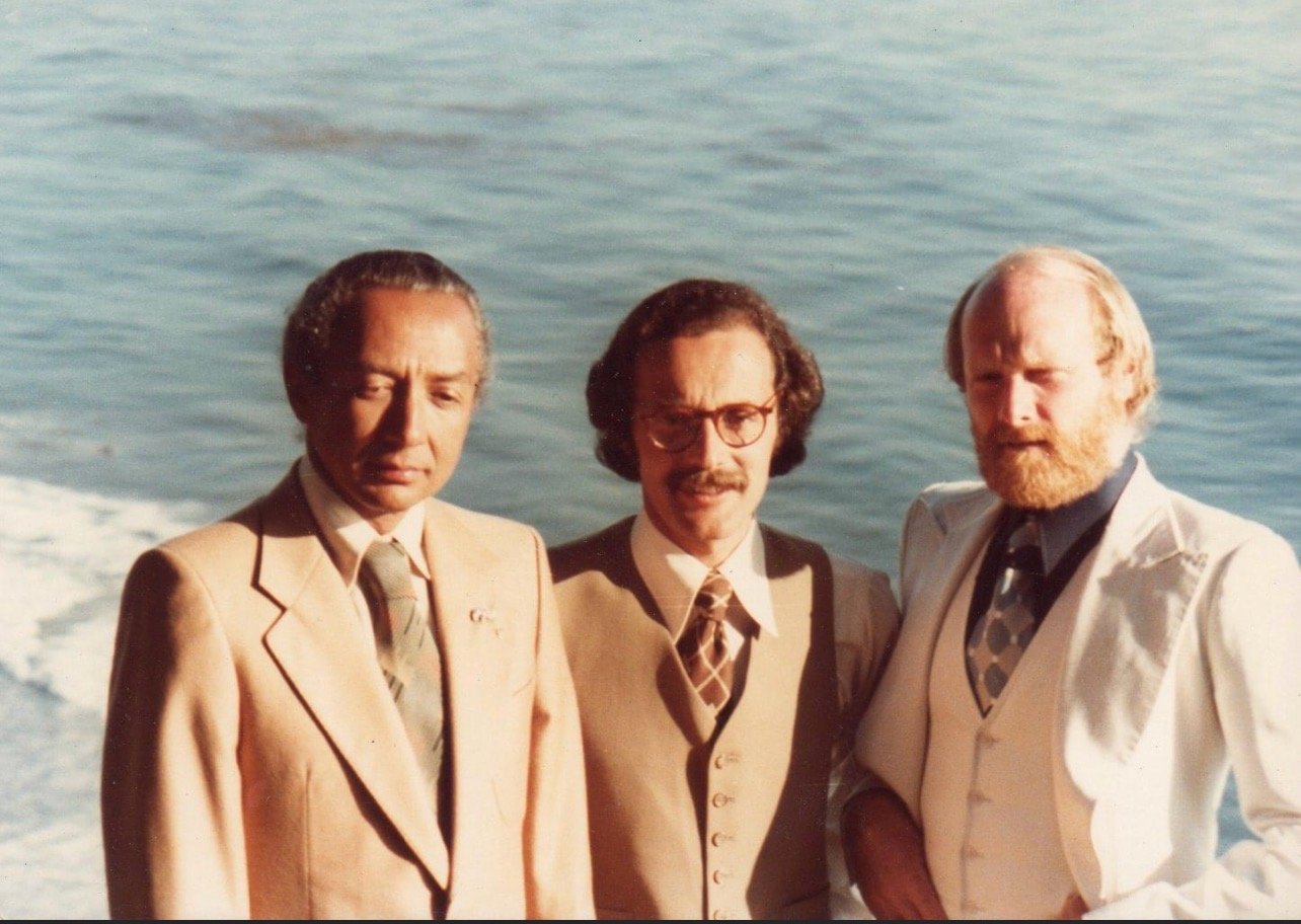 A Cork on the Ocean: Beach Boys and Wilson Brothers song-by-song | Page ...