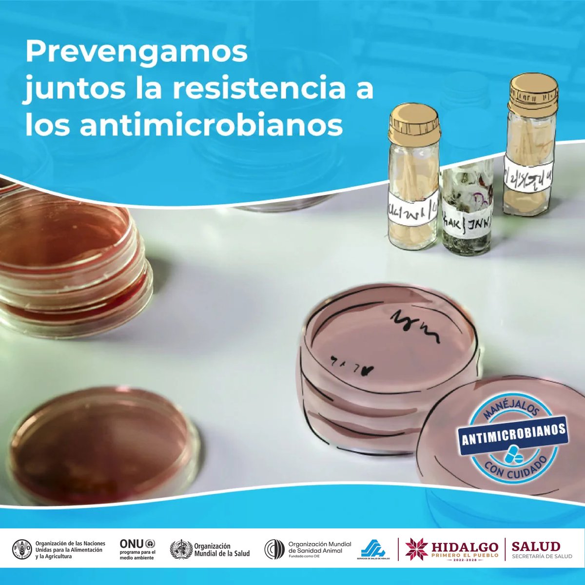 Salud Hidalgo on Twitter: "La resistencia a los antimicrobianos (RAM) surge cuando las bacterias ...