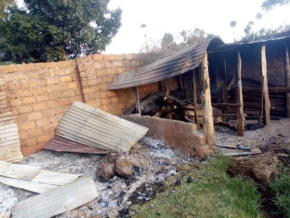 Abuga Makori Egh Mbe On Twitter This World Is Crazy Why Burn Cows