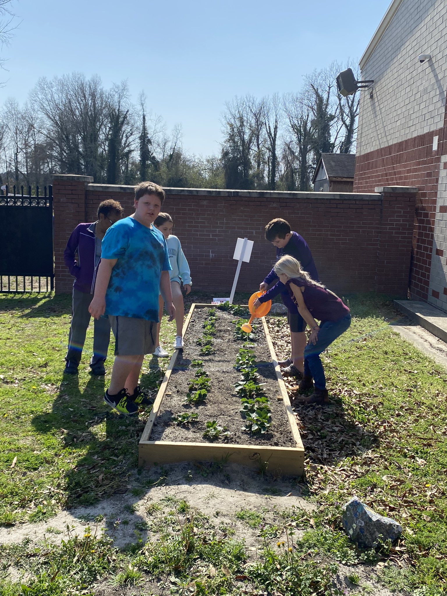 Tanya Turner on Twitter: "Hertford Grammar School was working hard this ...