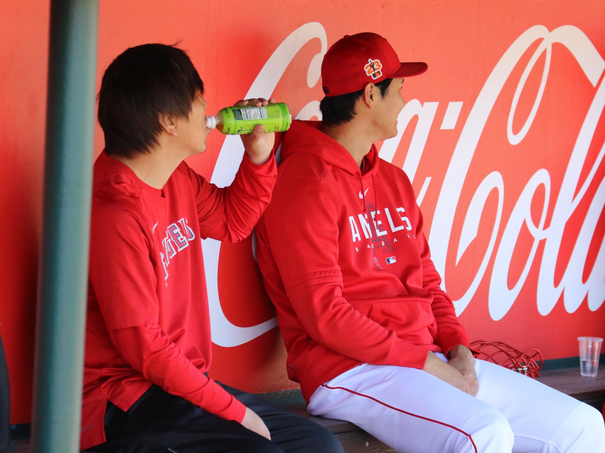 Full Count Mlb取材班 On Twitter エンゼルス・大谷翔平選手⚾️ 水原一平通訳がディアブロスタジアムの一塁ベンチで一服♨️ 日本の緑茶をゴクリ🍵 大谷選手どこか