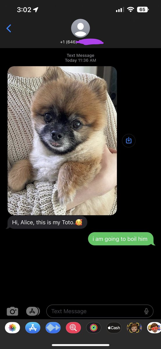 i assumed this was one of those fake number scam texts but they never ...