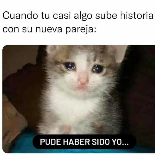 Memes De Parejas Imagenes Los Memes Para Celebrar El Día Del Amor Y