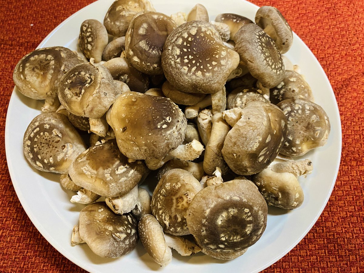 みっけ(@kkk_ekmm) - Twilog