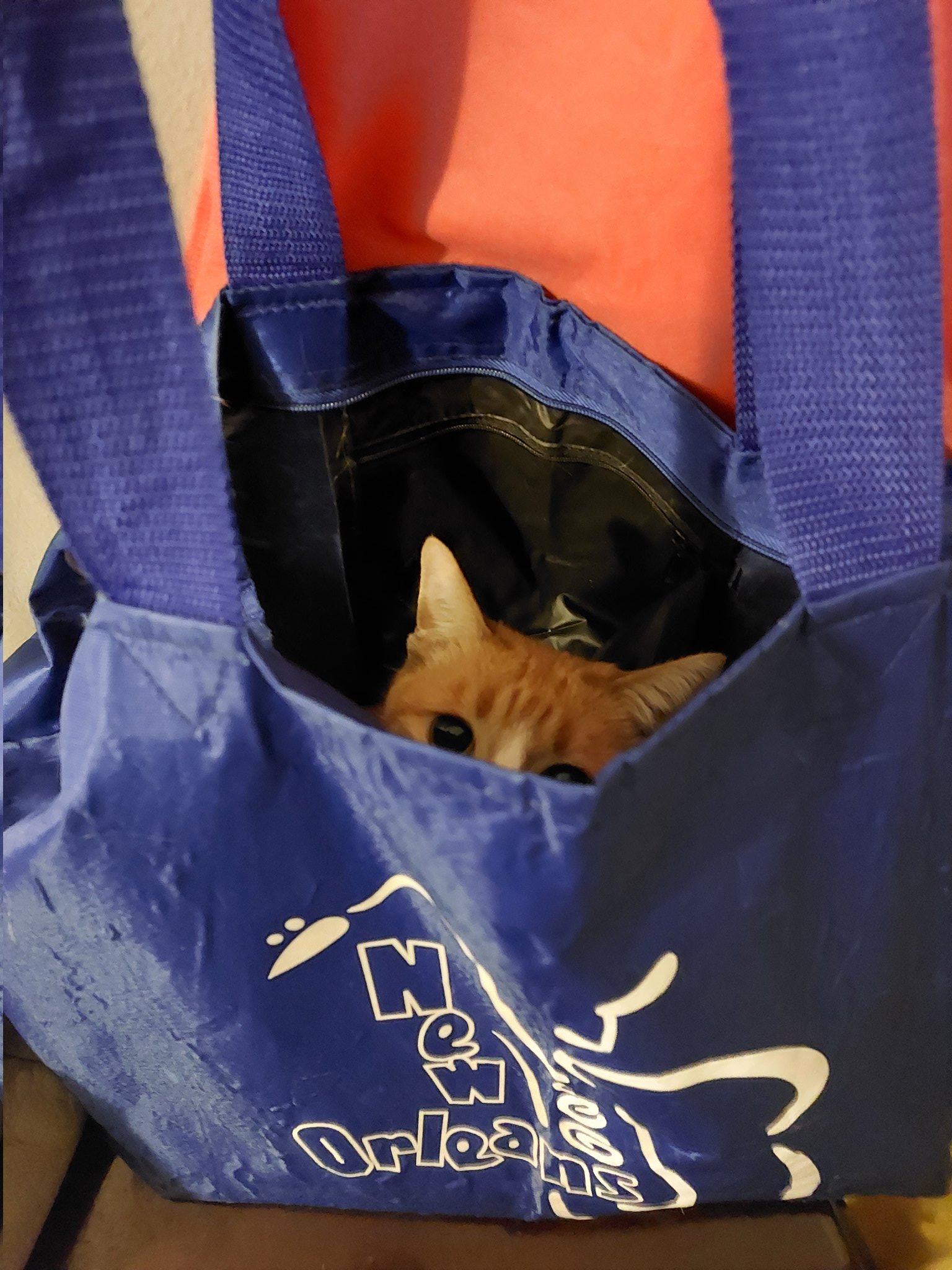 Marisa on Twitter: "@cat_auras https://t.co/T2AuCP1S9e" / Twitter