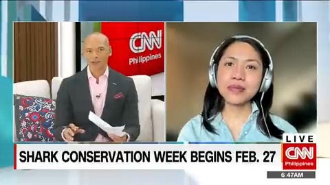 CNN Philippines on Twitter: "Next week, Save Sharks Network Philippines and the Philippine ...