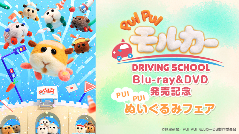 PUI PUI モルカー【公式】 on Twitter: "『PUI PUI モルカー DRIVING SCHOOL』 Blu-ray & DVD 発売記念 PUI PUI ぬいぐるみフェア ...