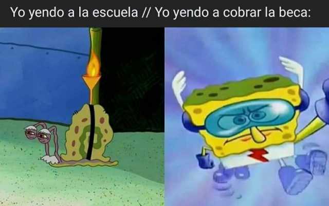 La Beca Memes