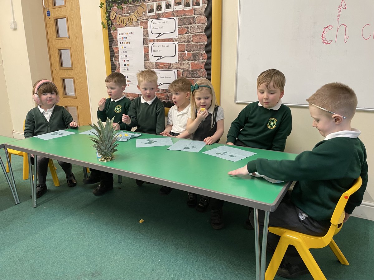 Acre Heads Primary School Sport Premium