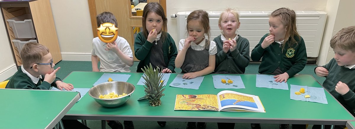 Acre Heads Primary School Sport Premium