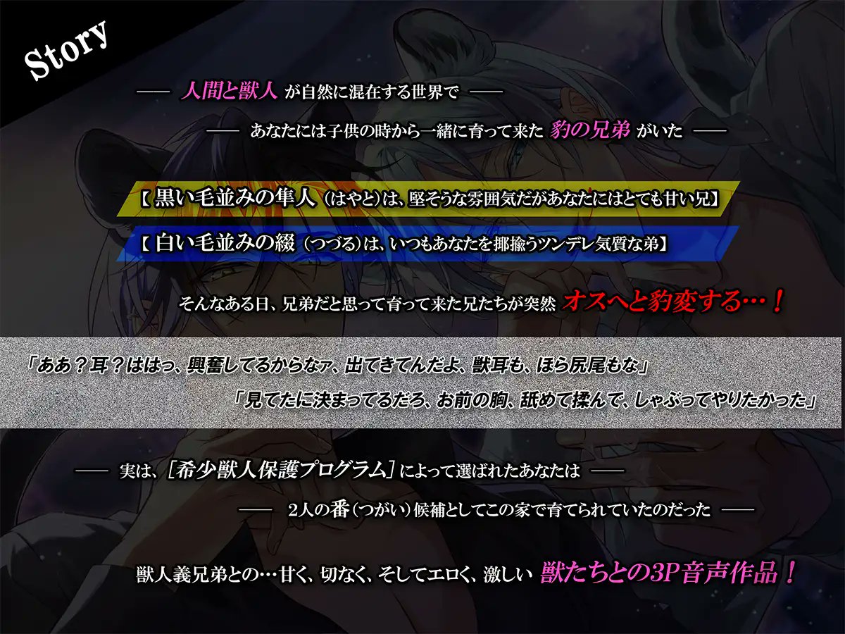 🎀DLsiteがるまに乙女部🎀 on Twitter: "🌼新着作品🌼 『LoveBeast黒と白の兄弟獣は永遠の番を囲い込む 』/#耳Honey （CV：#金森幸雅 / #波瑠カイロ ...