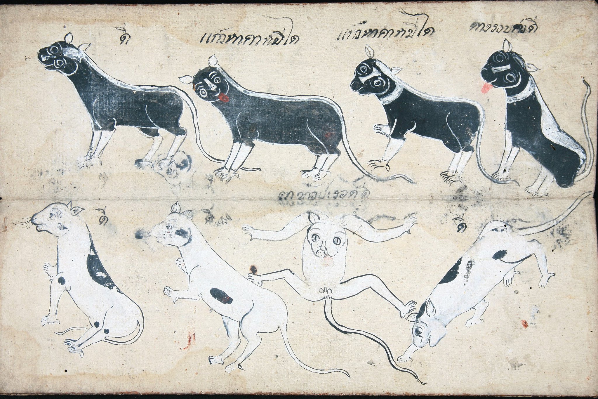 The Cultural Tutor on Twitter: "From the Tamra Maew (Cat-Book Poems) by an anonymous Thai artist ...