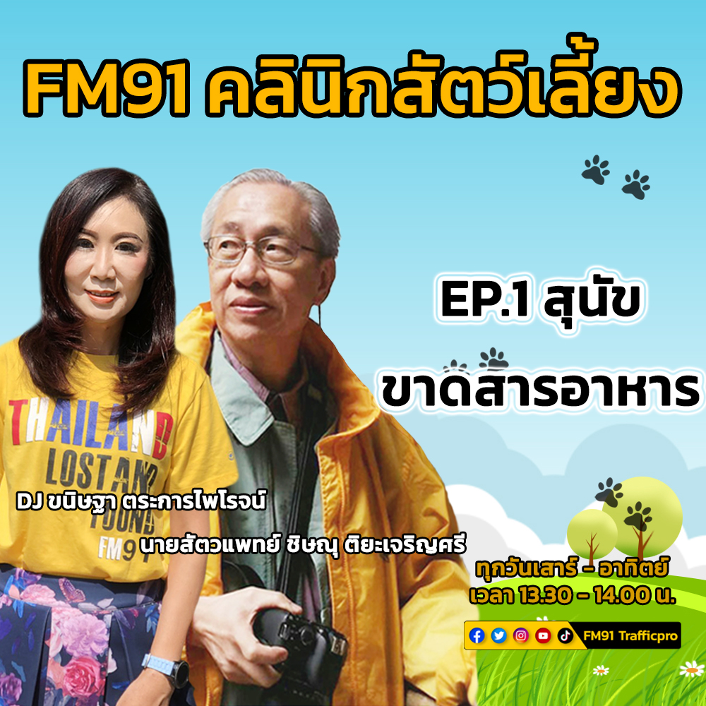 FM91 คลินิกสัตว์เลี้ยง พูดคุยในหัวข้อ "สุนัข ขาดสารอาหาร" Ep.1 พบกับ DJ ขนิษฐา ตระการไพโรจน์ และ ...