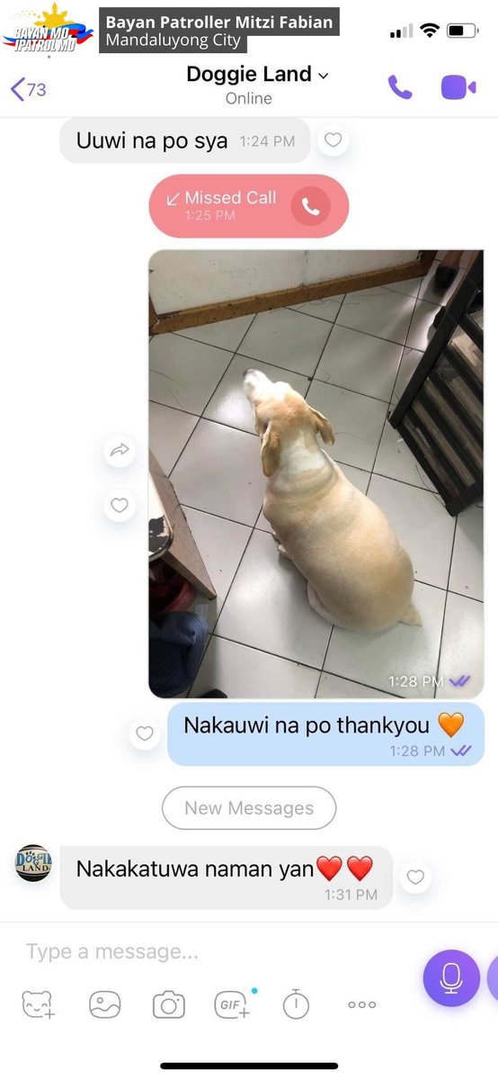 ABS-CBN News on Twitter: "RT @bayanmo: Strong and independent dog si Fuffy dahil kaya nitong ...