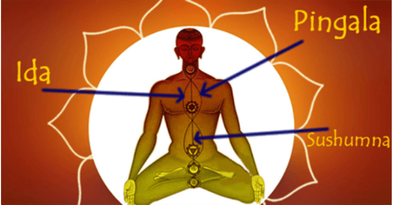 In Tantra - Ajna Chakra: Ida (feminine, lunar) and Pingla (masculine ...