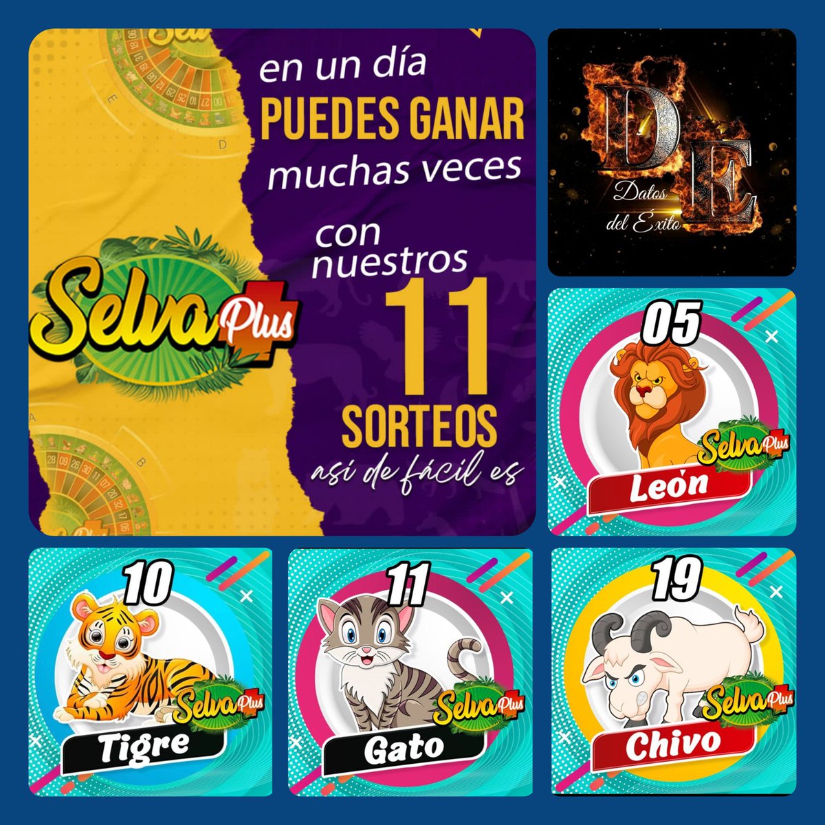 D̳A̳T̳O̳S̳ ̳D̳E̳L̳ ̳É̳X̳I̳T̳O̳ on Twitter: "Ya, @SelvaPlus en todas tus agencias online ...