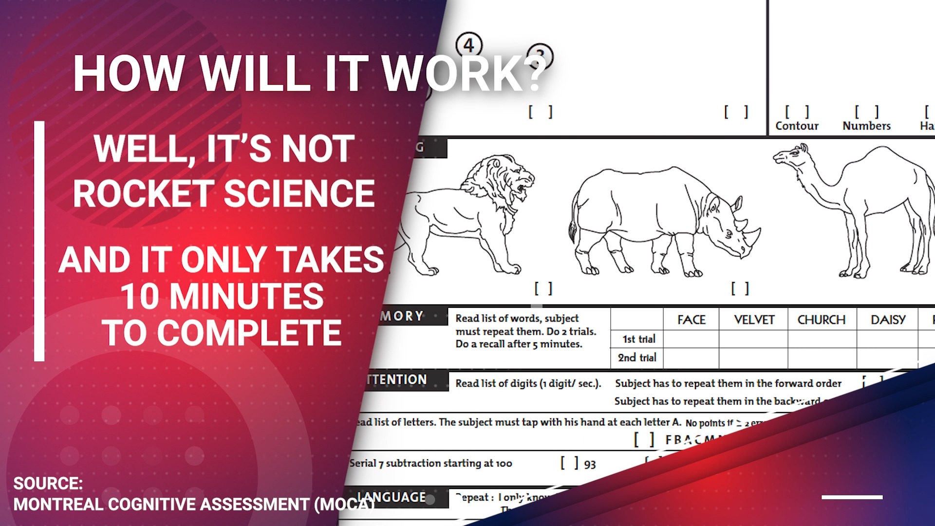 Nikki Haley on Twitter: "Politicians & judges make important decisions ...