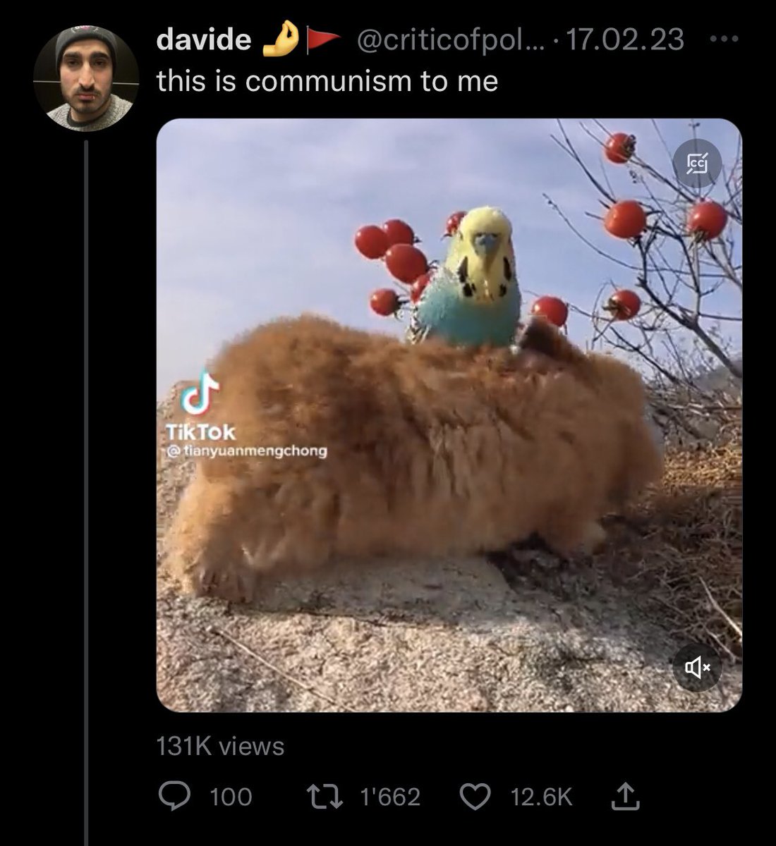 Star Dialectics on Twitter: "RT @BesDMarx: "and this is what communism really is:" > shows a ...