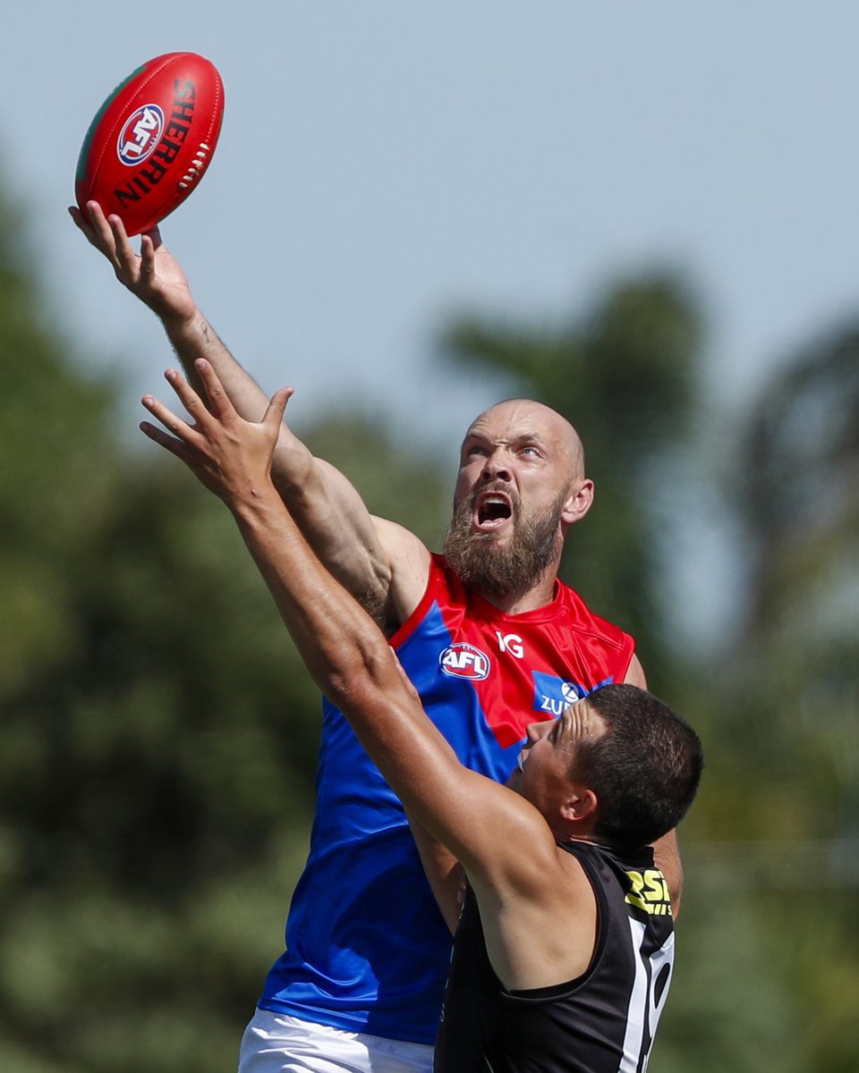 Melbourne Demons - @melbournefc | Latest news, Top stories in real time