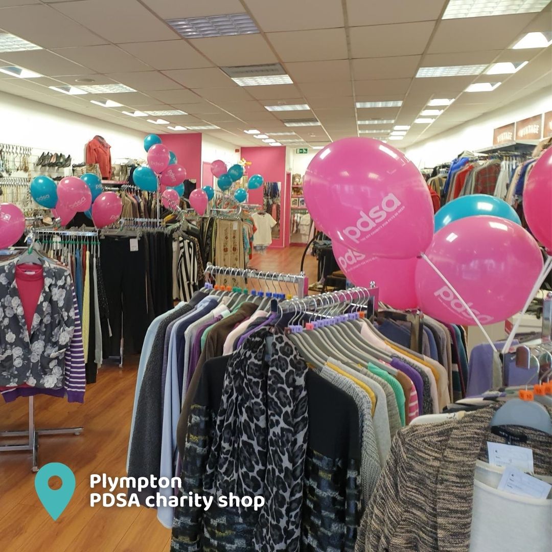 PDSA Charity Shop - Gloucester BID - Business Improvement District