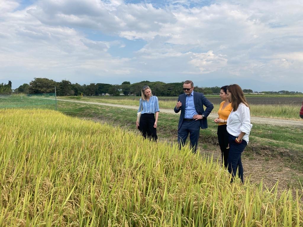 Alliance of Bioversity International and CIAT on Twitter: "We also took Mr. Traavik on two ...