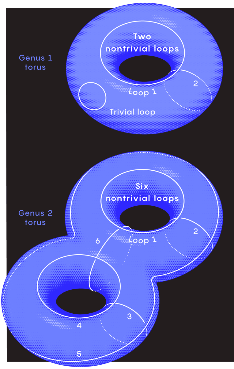ΤrΩy Kρυπτο on Twitter: "RT @QuantaMagazine: Mathematicians can study the structure of a space ...