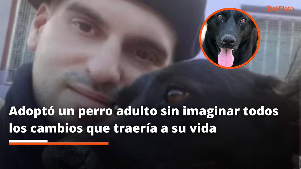 Cirilo, un perro adulto, modificó la vida de Manuel Gil Ares, el hombre ...