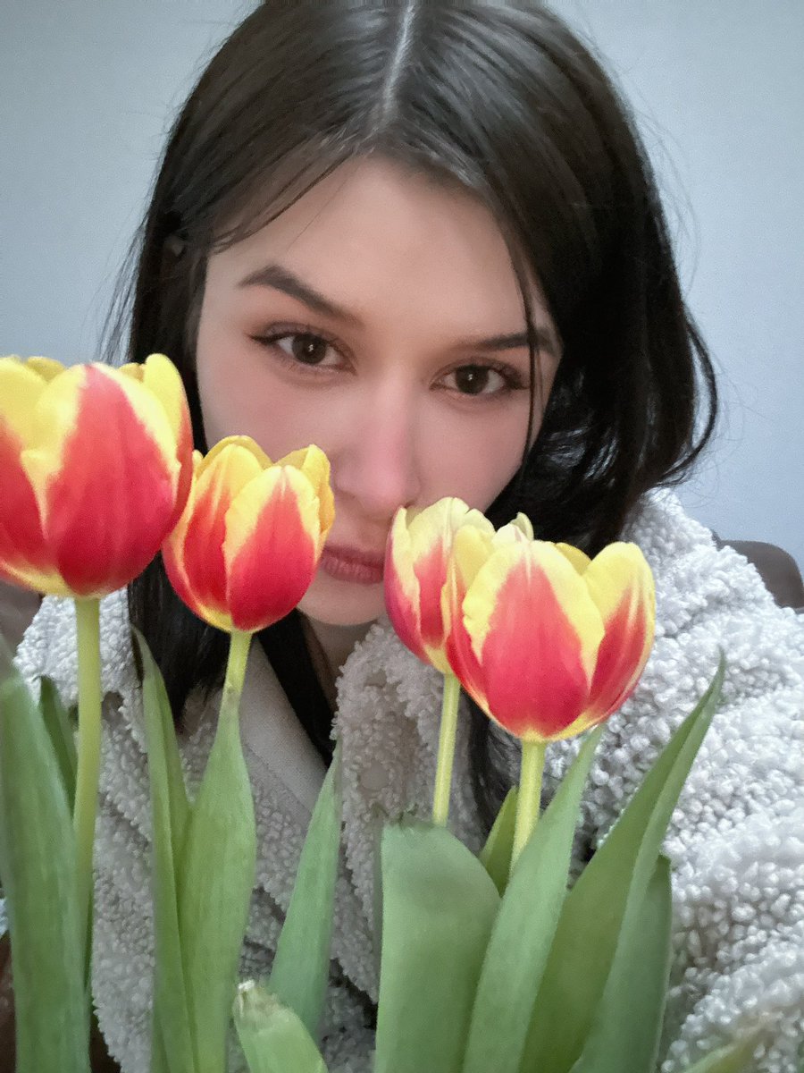 Yuli UNLEASHED! on Twitter: "let’s learn some dutch! http://twitch.tv/yuli"