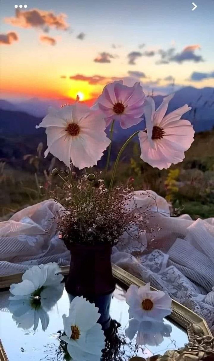 Sarnai🇲🇳🇲🇳🇲🇳 On Twitter Rt 4712ganbaa Өглөөний мэндээ энэ өдрийн ажил үйлсэд нь өндөрөөс