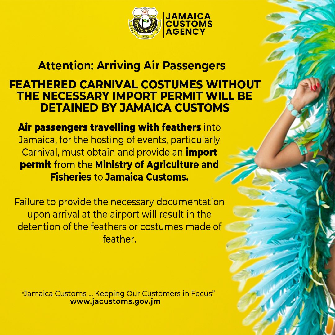 Jamaica Customs Agency on Twitter: "IMPORTANT NOTICE: Feathered carnival costumes without the ...