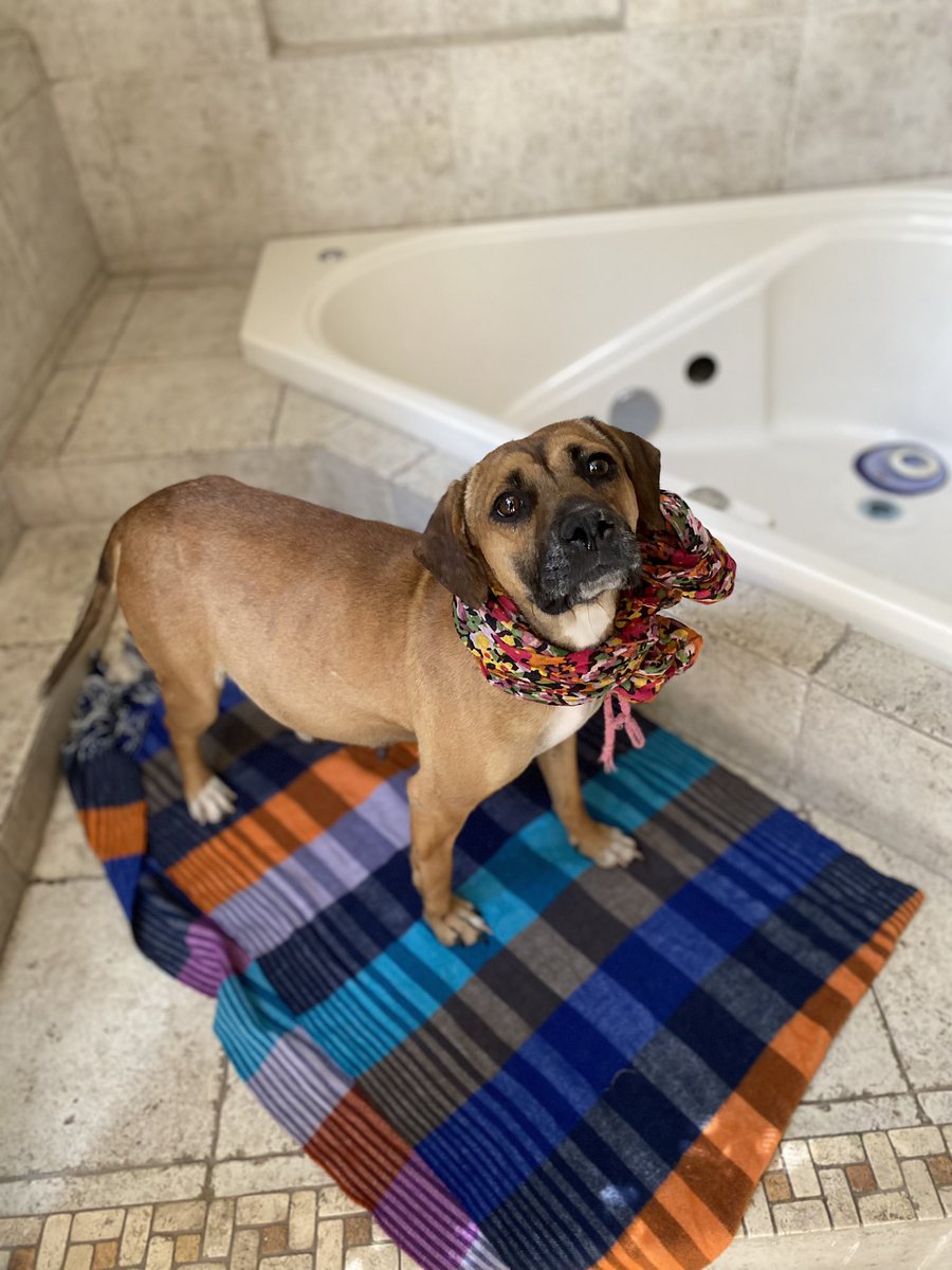 Alina's Threads – Thread Reader App